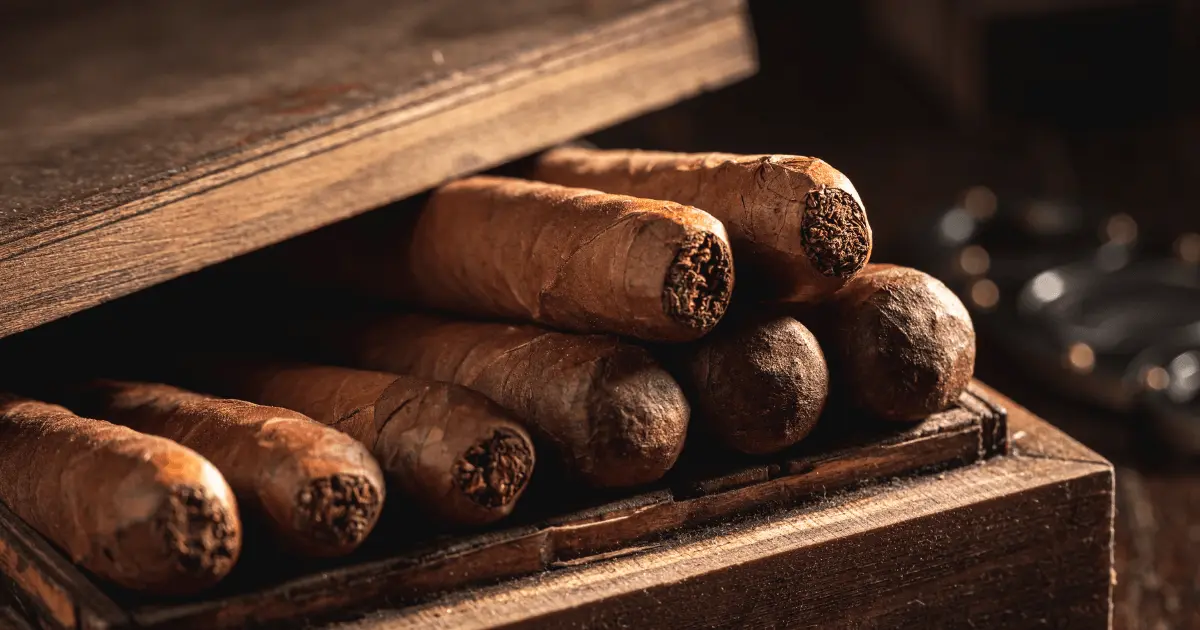 Cigar POS Software: 5 Features, Benefits, & Top Providers